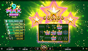 Recent Winners | Casino Rewards